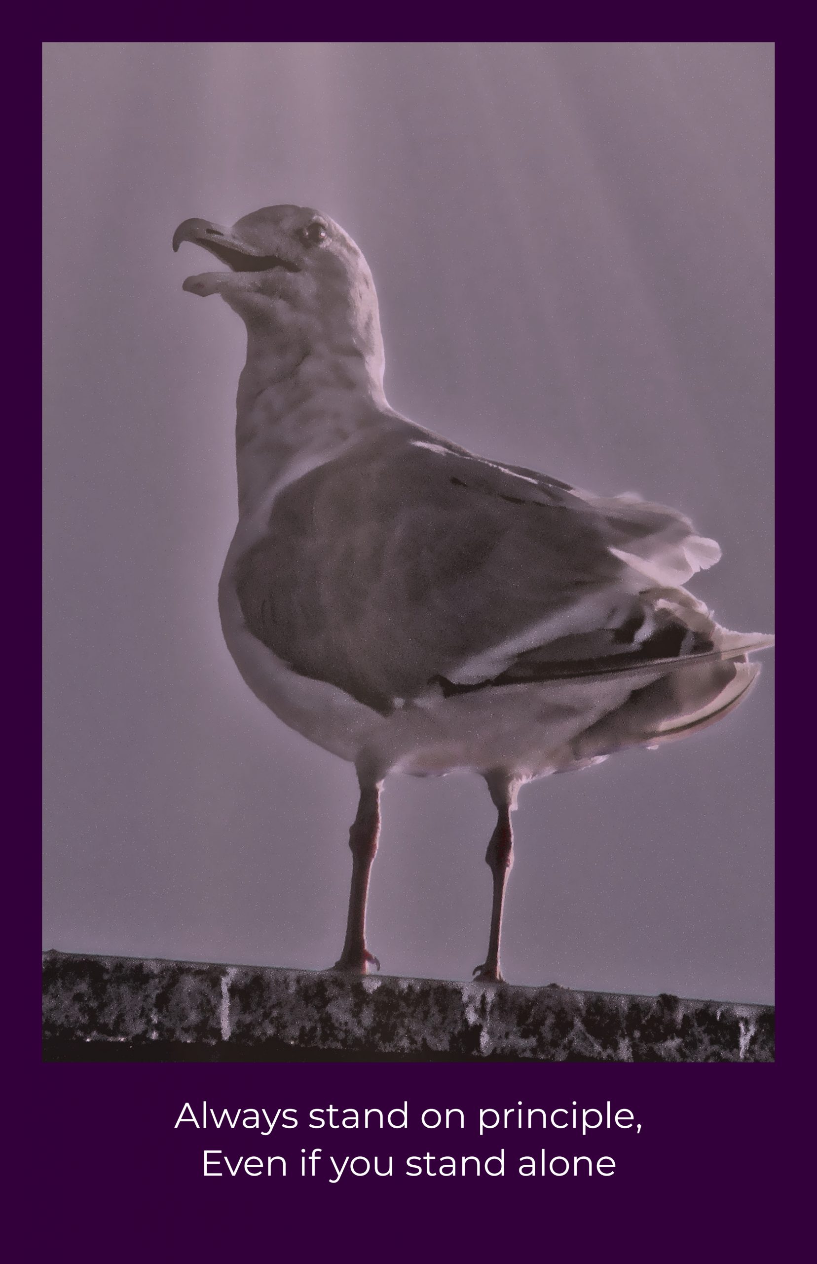 ALWAYS STAND ON PRINCIPLE – Chilliwack Crows